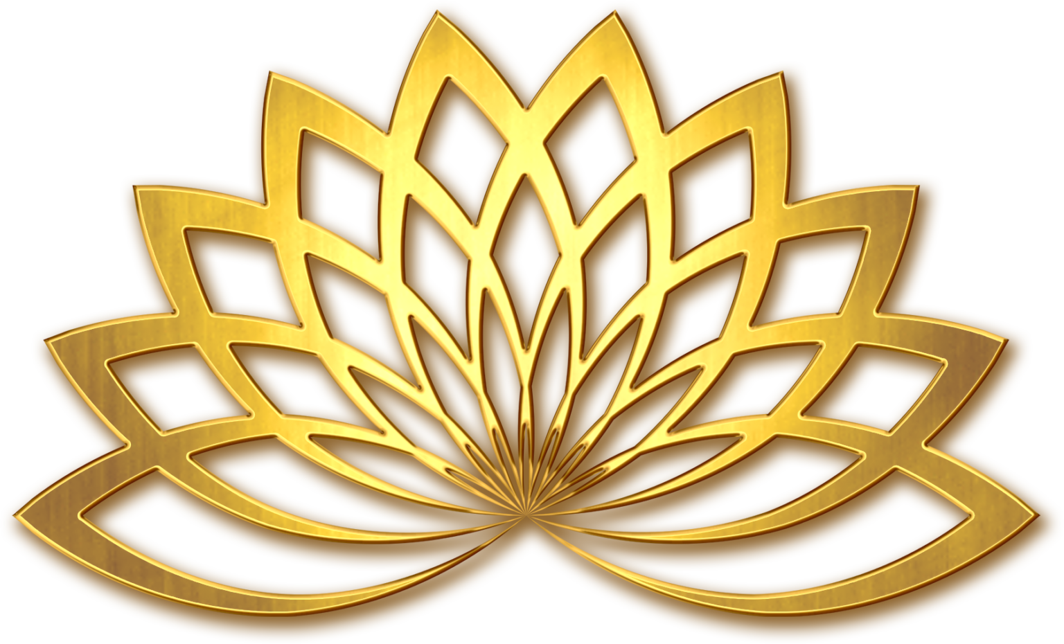 Über mich – Eine Neue Erde – Robin Kaiser