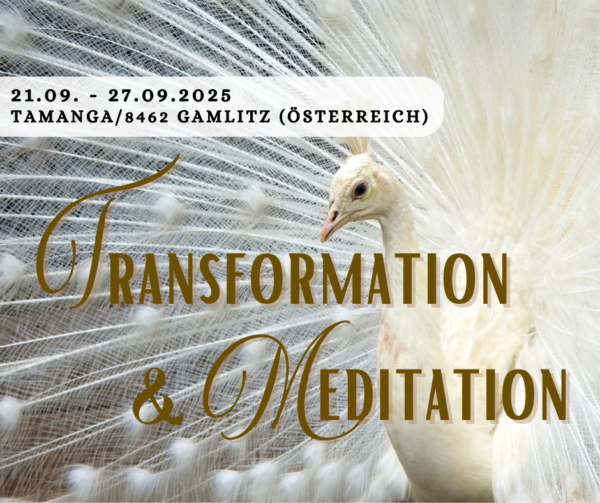 Seminare – Eine Neue Erde – Robin Kaiser