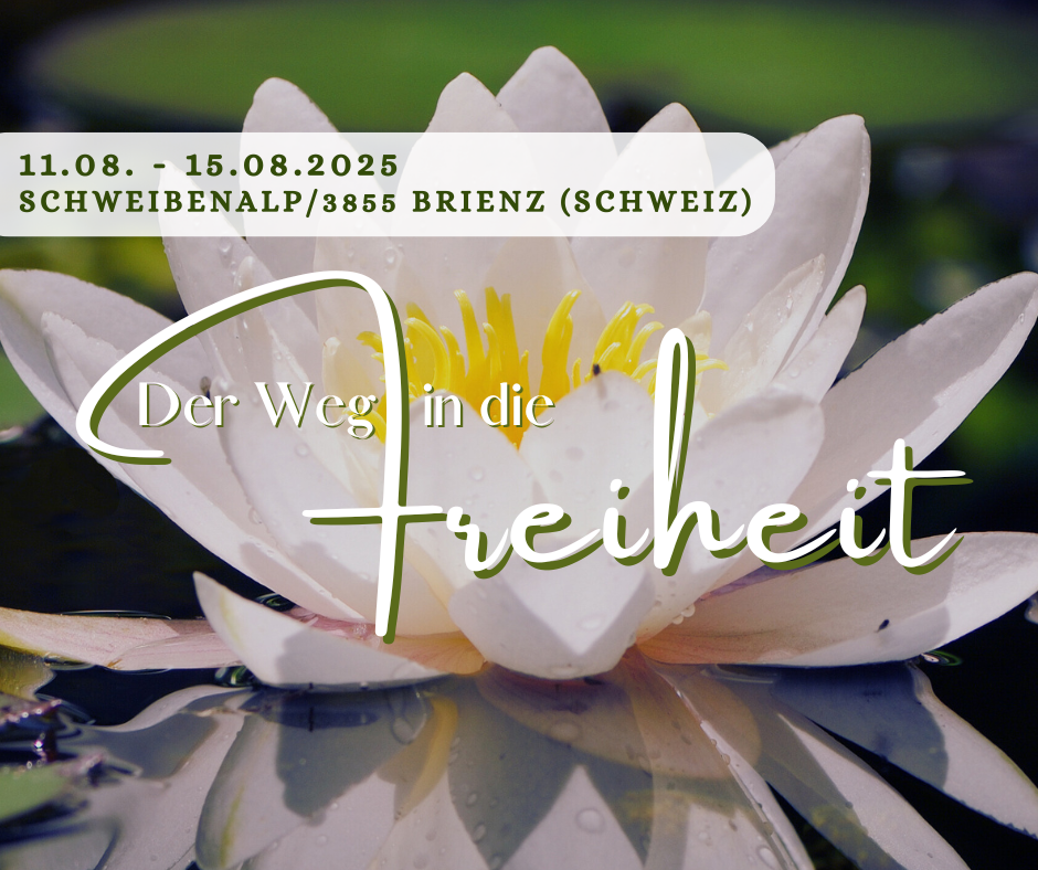 Seminare – Eine Neue Erde – Robin Kaiser